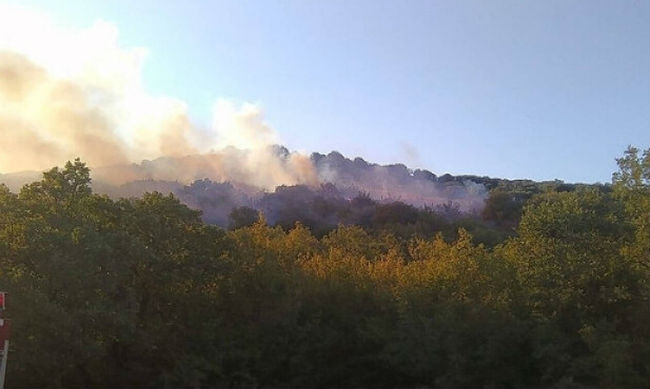 ΕΚΤΑΚΤΗ ΕΠΙΚΑΙΡΟΤΗΤΑ: Φωτιά ΤΩΡΑ στην Αλεξανδρούπολη
